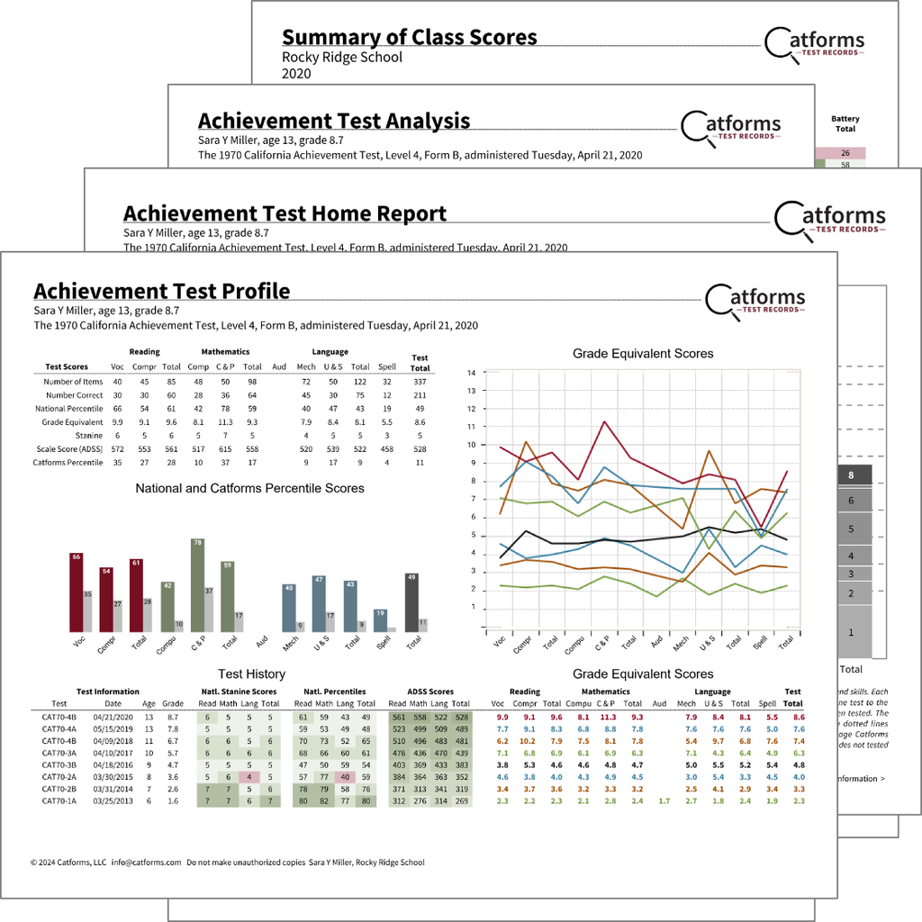 Reporting Options | Catforms LLC